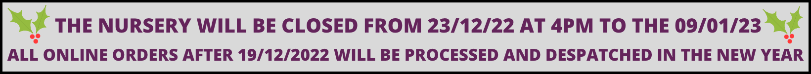 Visit Us | Proctors Nursery